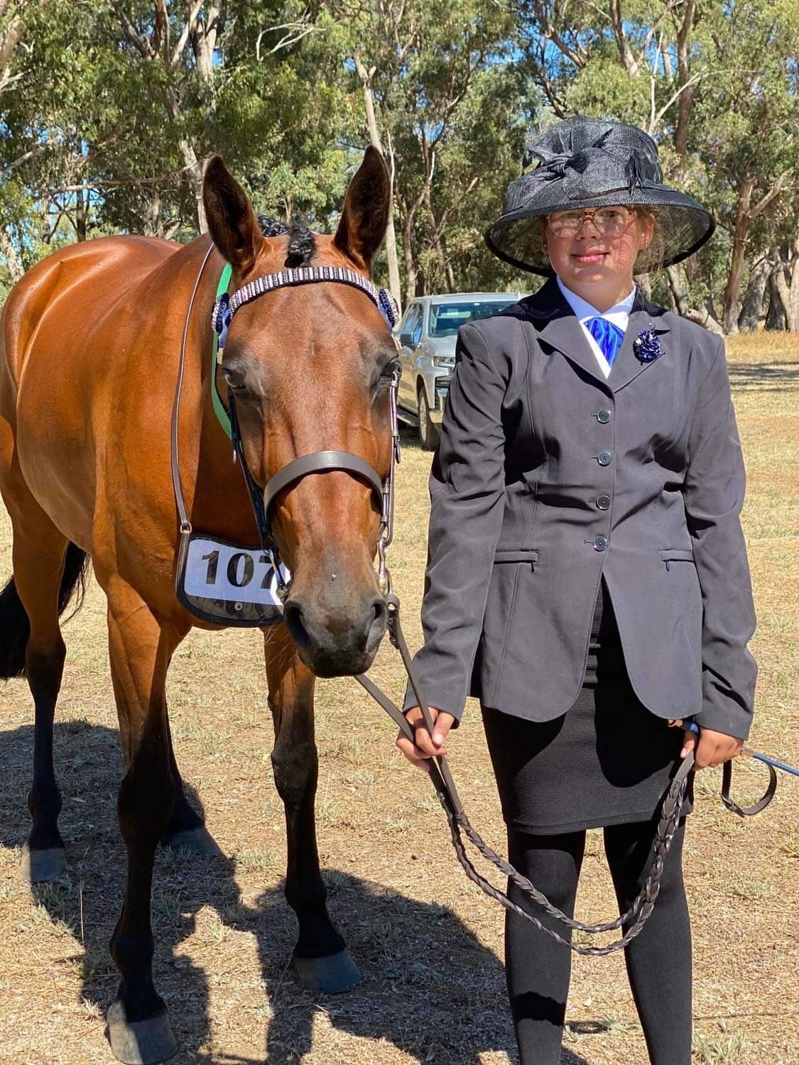 From the Show Ring to Barrel Racing: Standardbred Talents on Display – Hero