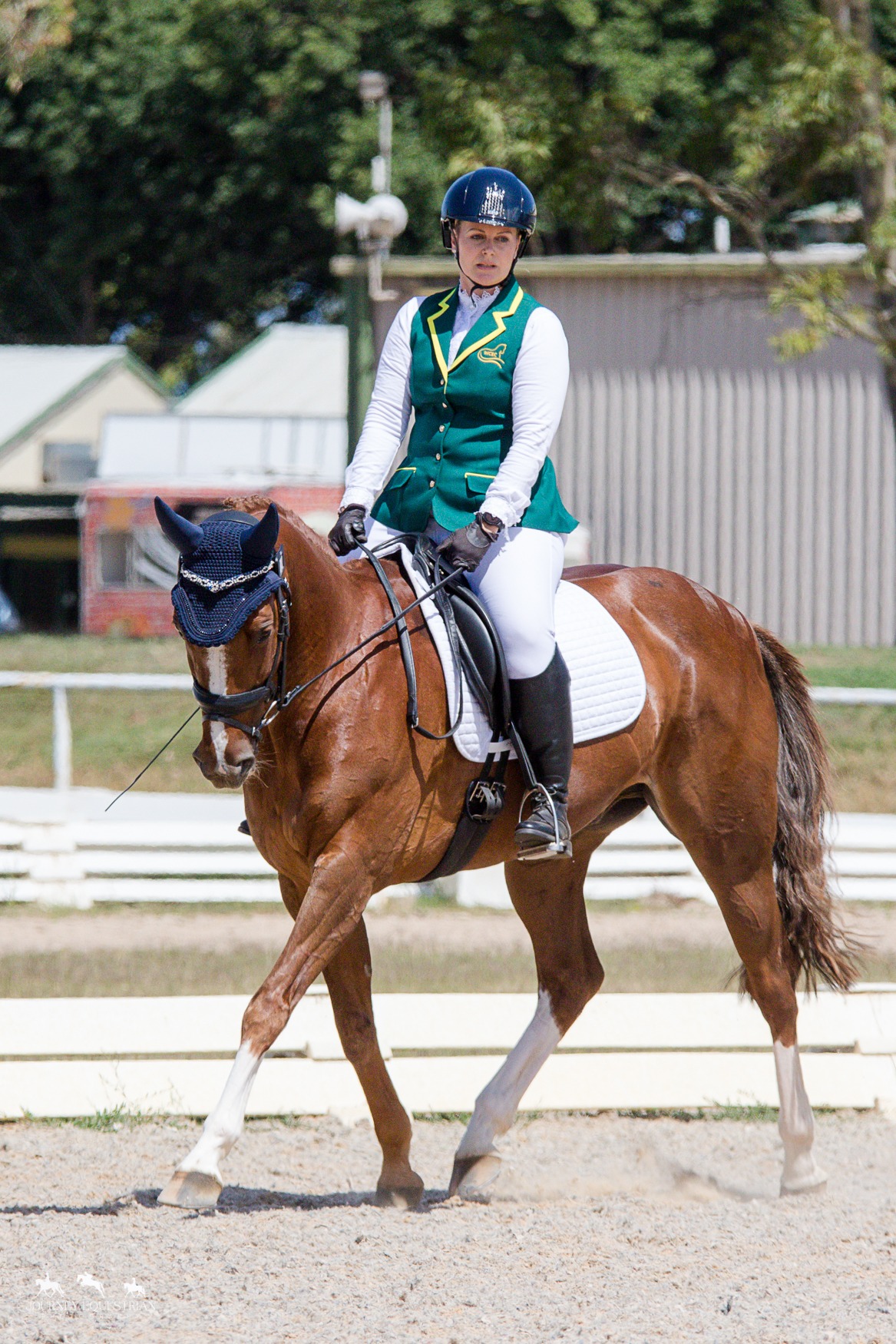 Emma and James Levelling Up the Recognition for Standardbreds – Hero
