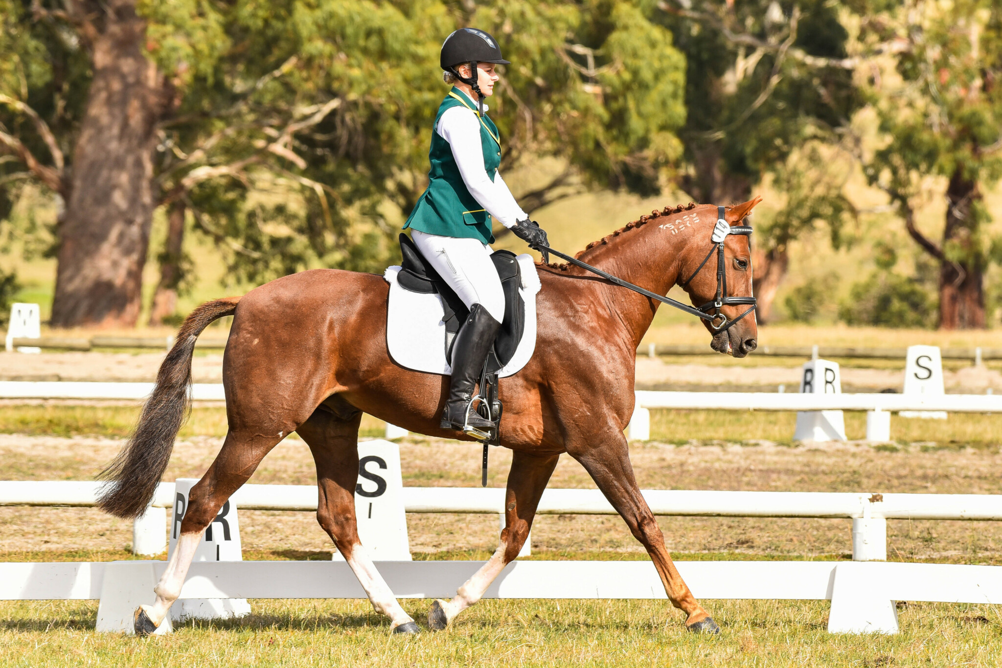 Emma and James Levelling Up the Recognition for Standardbreds – Hero