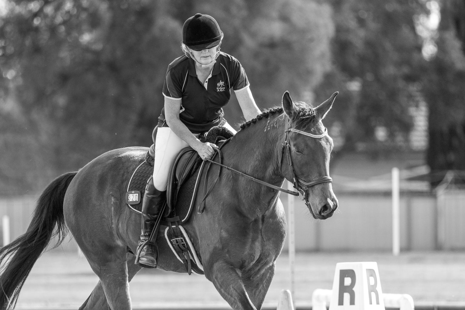 Vicki & Boston’s First Year Success – Hero