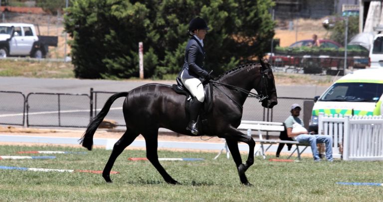Kelly & Jett’s Story, From Track to Triumph – Hero